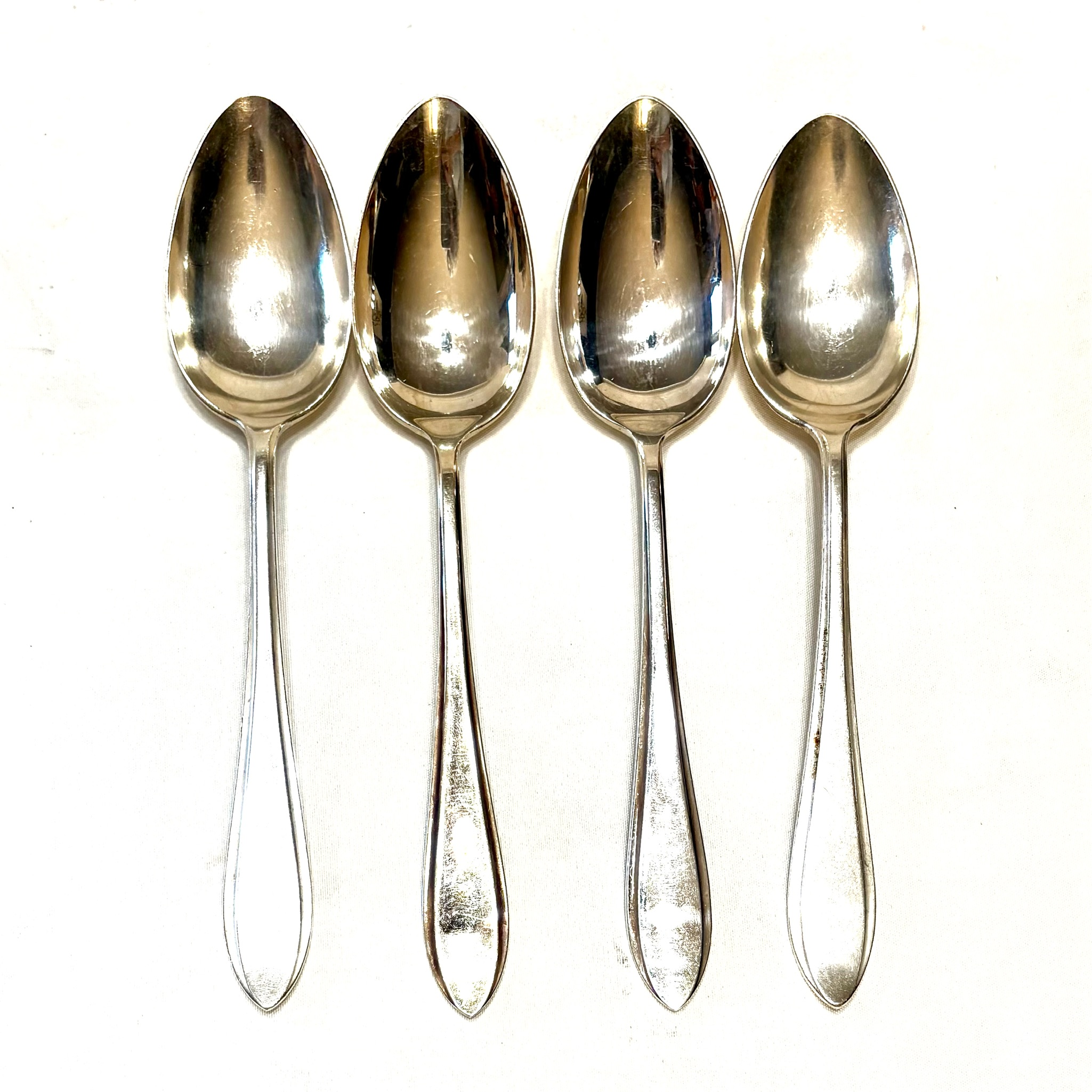 Gero silver-plated point fillet cutlery - Terre des Hommes Webshop